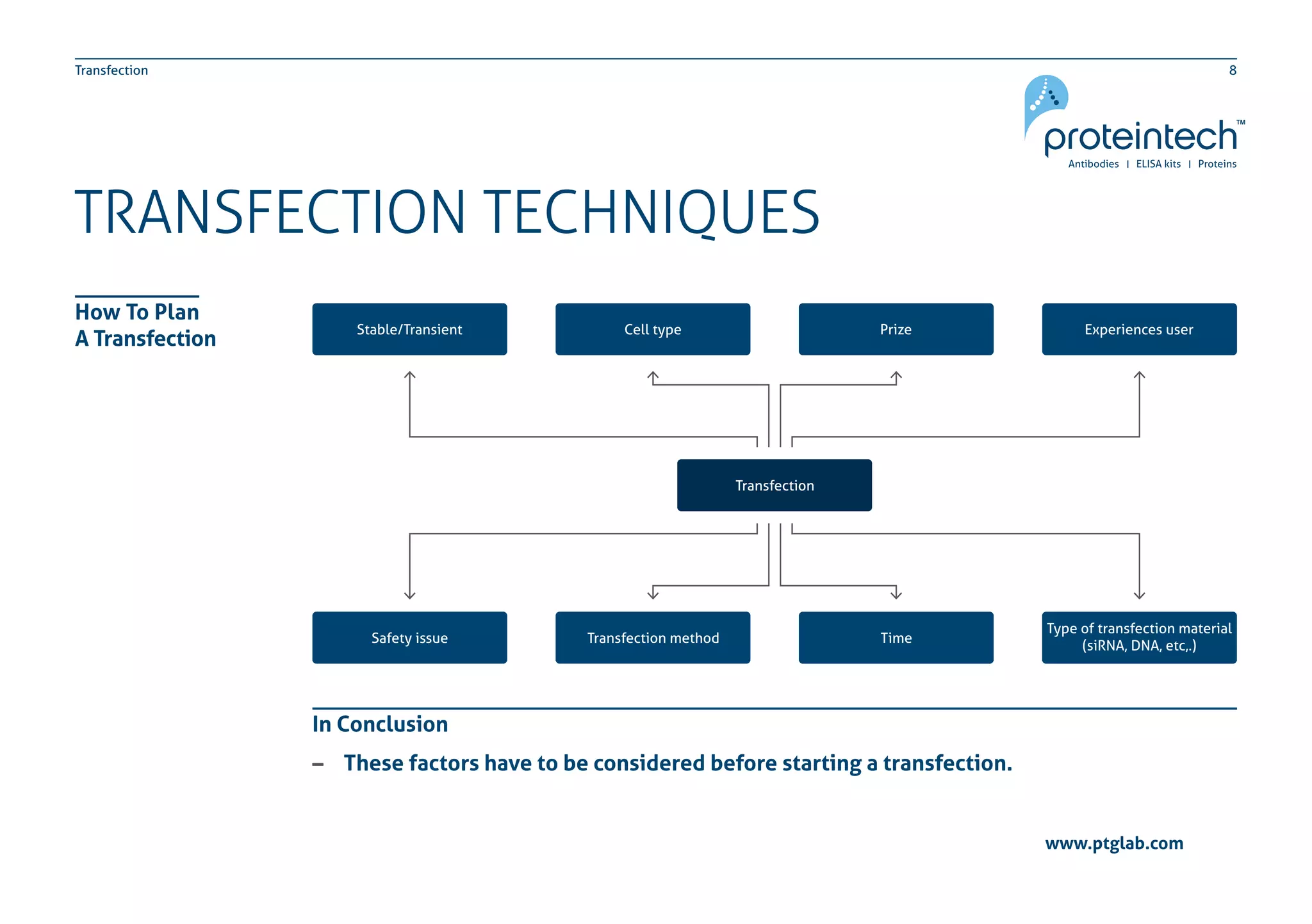 Transfection Techniques - Overview and Technical Tips | PDF