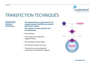 Transfection Techniques - Overview and Technical Tips | PPT