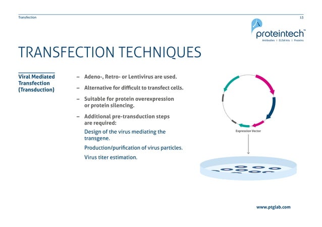 Transfection Techniques - Overview and Technical Tips | PPT