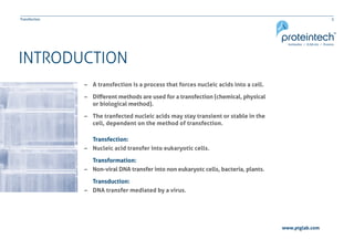 Transfection Techniques - Overview and Technical Tips | PPT