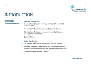 Transfection Techniques - Overview and Technical Tips | PPT
