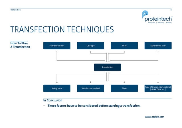 Transfection Techniques - Overview and Technical Tips | PPT
