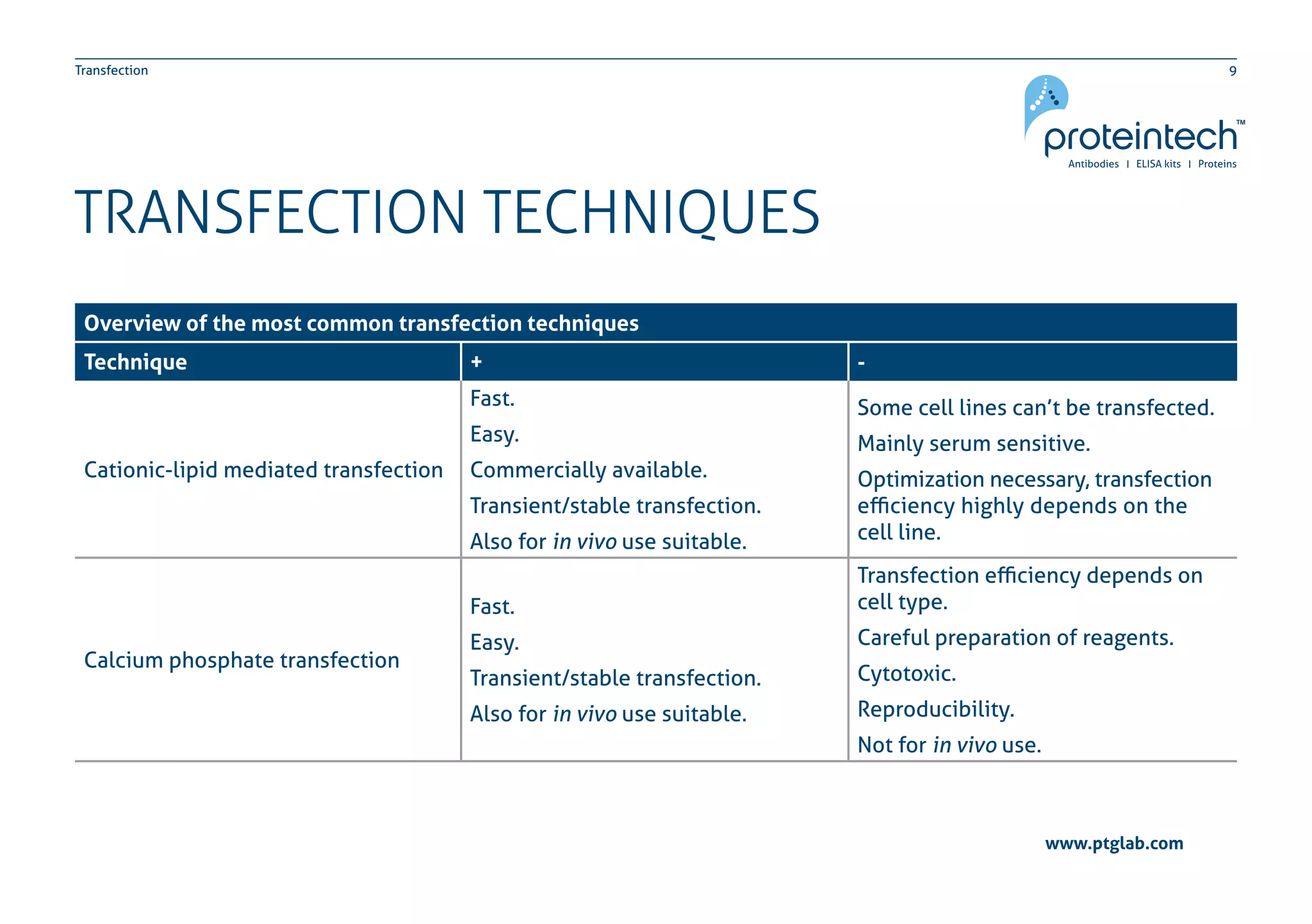 Transfection Techniques - Overview and Technical Tips | PDF