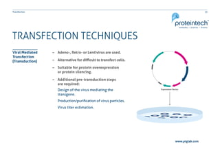 Transfection Techniques - Overview and Technical Tips | PDF
