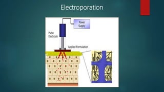 Transfection methods (DNA to host cell) | PPTX