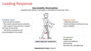 TRANSFEMORAL GAIT DEVIATIONS with causes and managment | PPTX