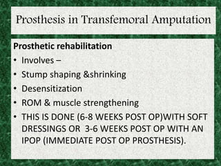 Transfemoral protheses | PPTX