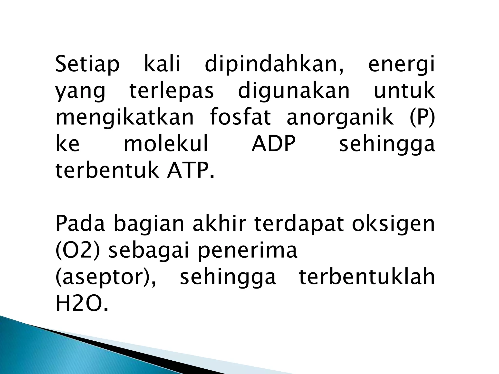 Transfer elektron | PPTX