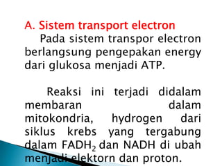 Transfer elektron | PPTX