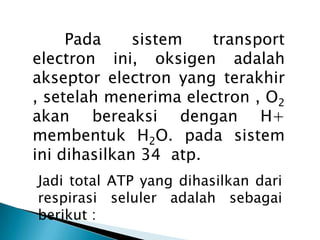 Transfer elektron | PPTX