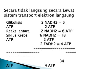 Transfer elektron | PPTX