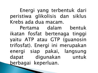 Transfer elektron | PPTX