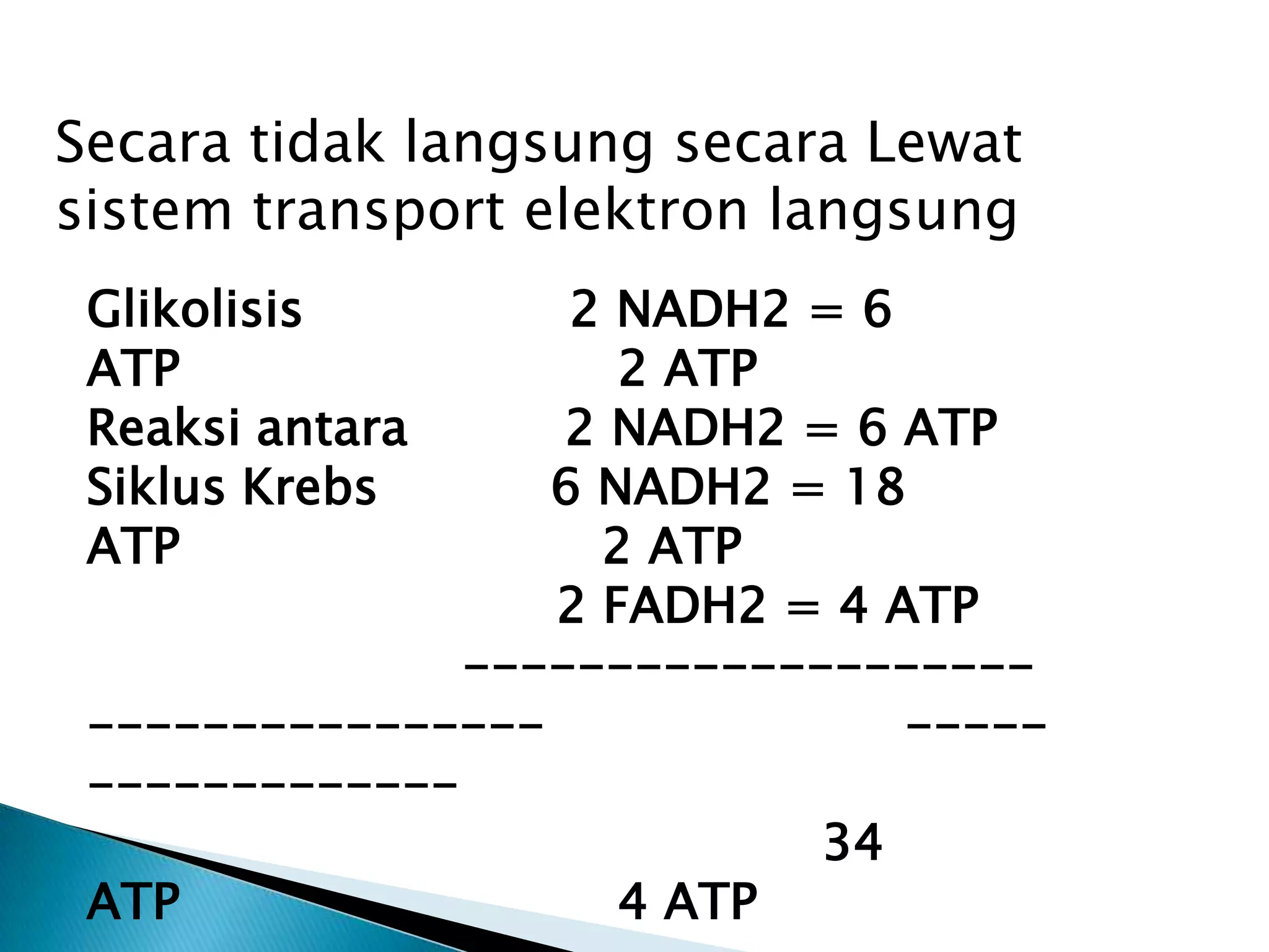 Transfer elektron | PPTX