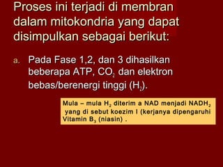 Transfer elektron | PPT