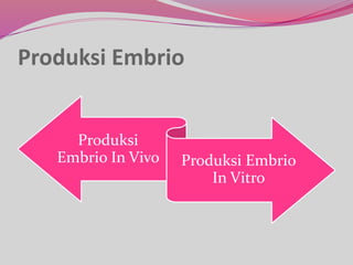 Teknik Transfer embrio Pada Hewan Ternak | PPTX