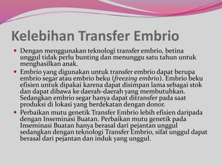 Teknik Transfer embrio Pada Hewan Ternak | PPTX