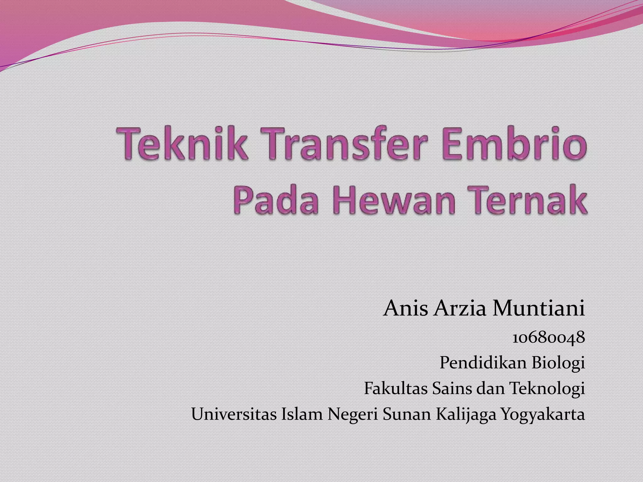 Teknik Transfer Embrio pada Hewan Ternak | PPTX