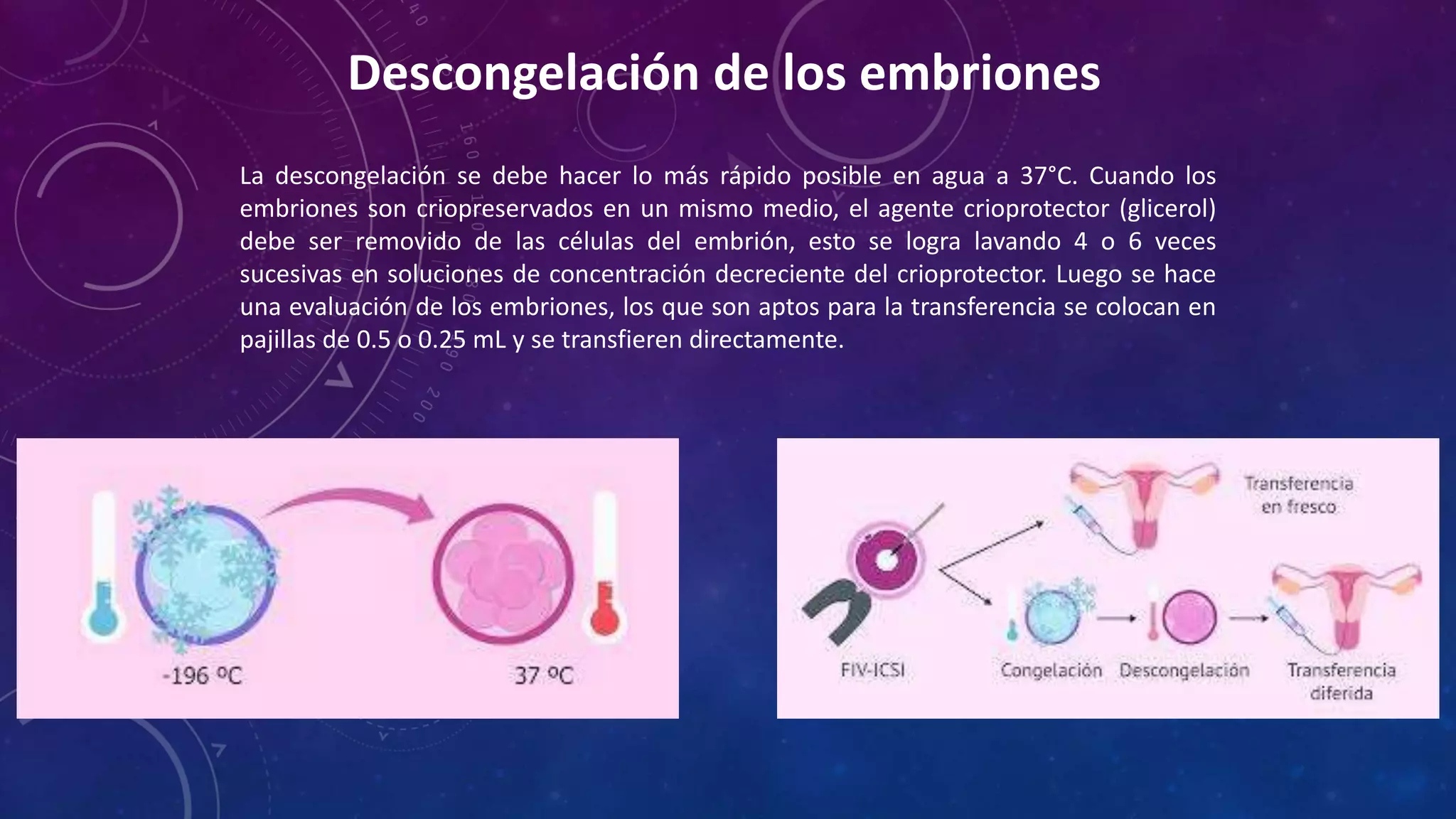 Transferencia de embriones | PPT