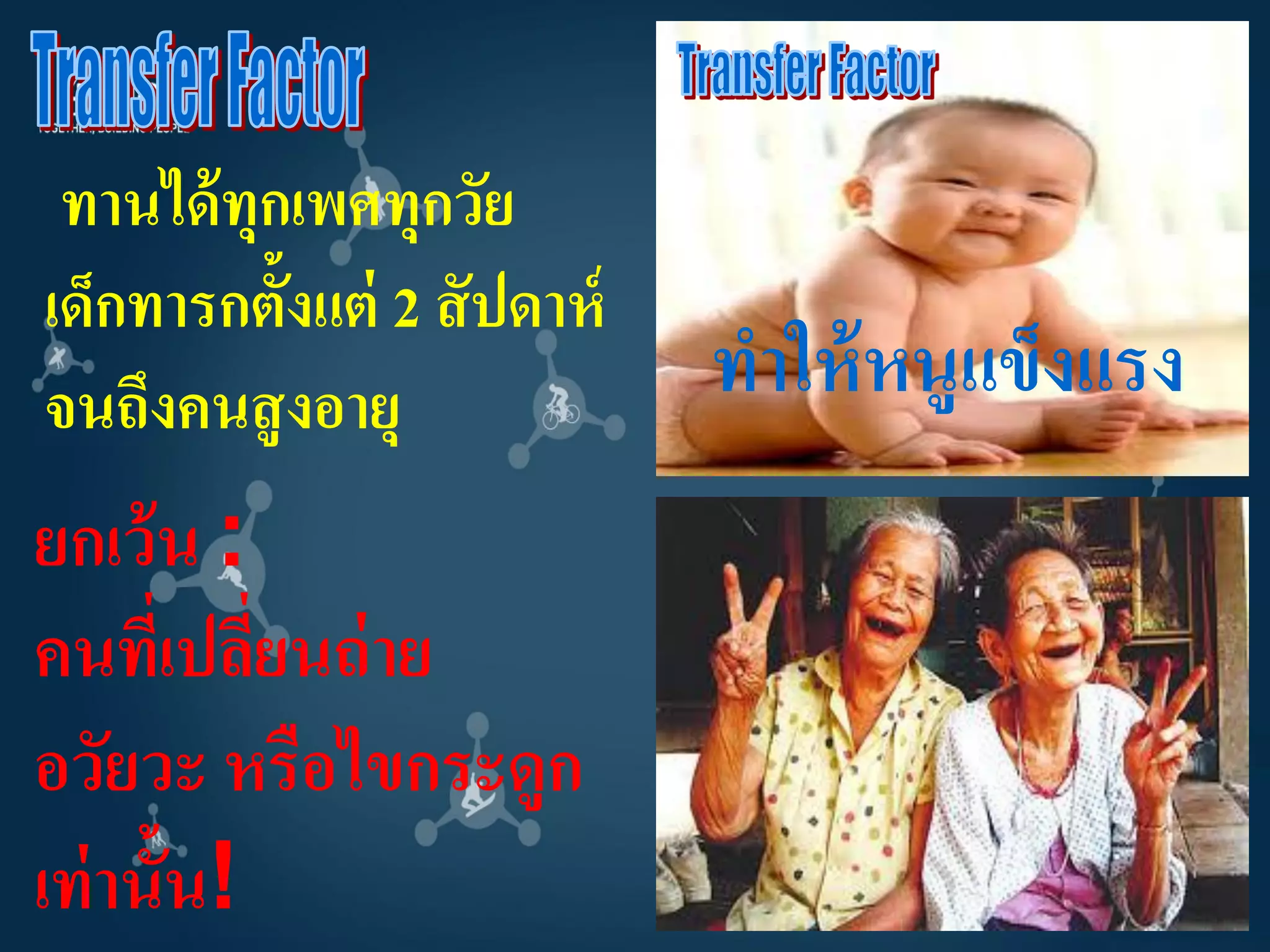 Transfer factor chewable 15.5.2555