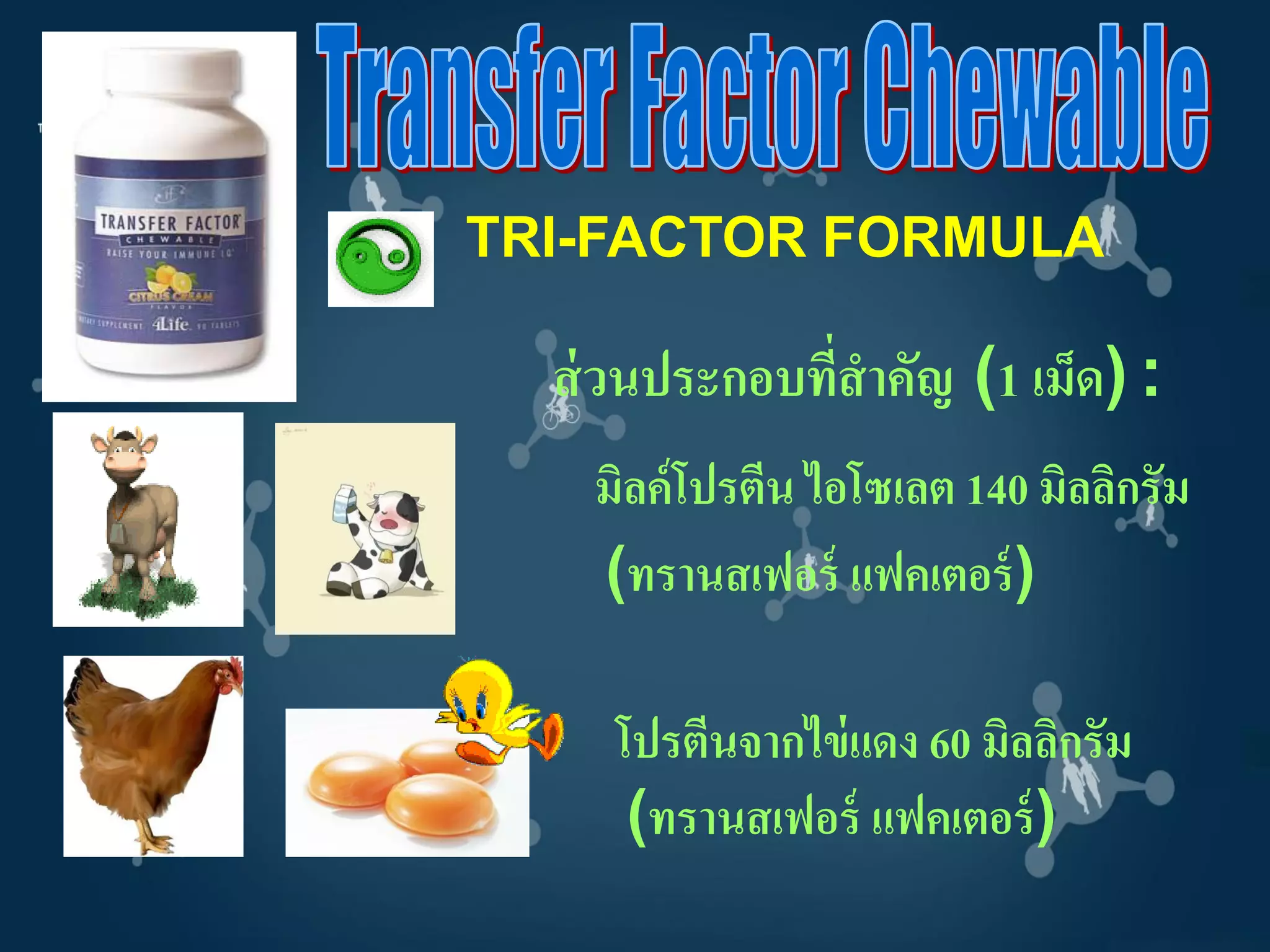 Transfer factor chewable 15.5.2555