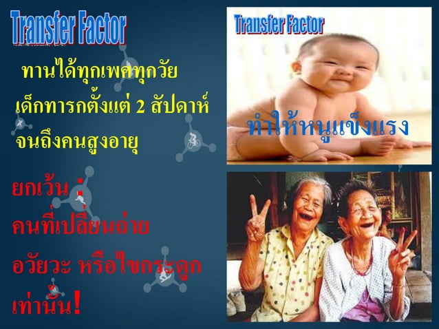 Transfer factor chewable 15.5.2555