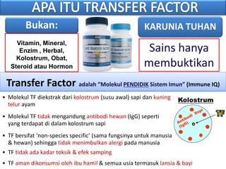 Transfer factor ppt | PPTX
