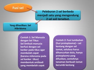 Transfer inti, Fusi sel, Kultur jaringan --- itsdanicaputrys | PPTX