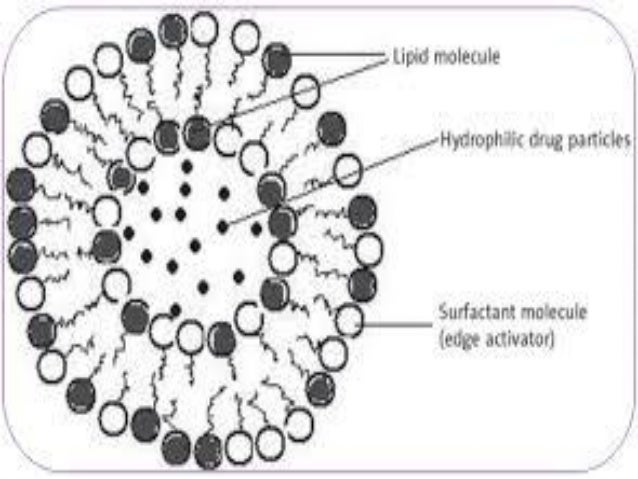 Transferosomes