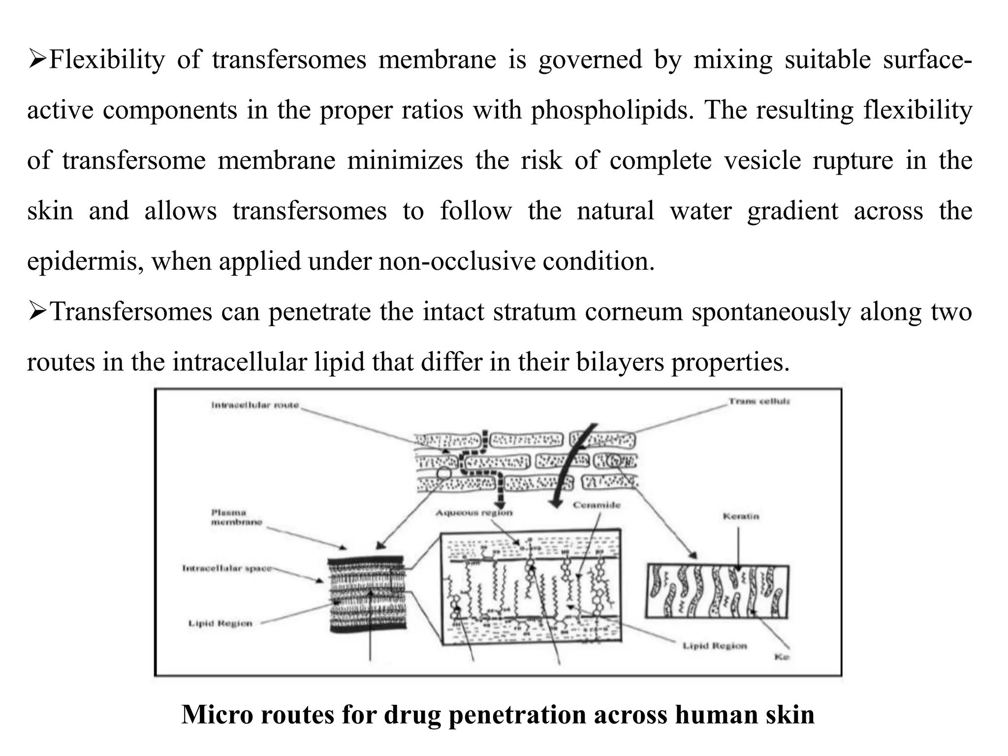 TRANSFEROSOMES A NOVEL DRUG DELIVERY SYSTEM | PPTX