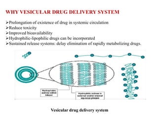 TRANSFEROSOMES A NOVEL DRUG DELIVERY SYSTEM | PPTX