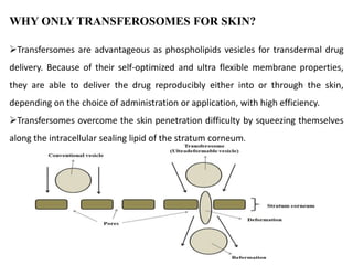 TRANSFEROSOMES A NOVEL DRUG DELIVERY SYSTEM | PPTX
