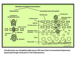 TRANSFEROSOMES A NOVEL DRUG DELIVERY SYSTEM | PPTX