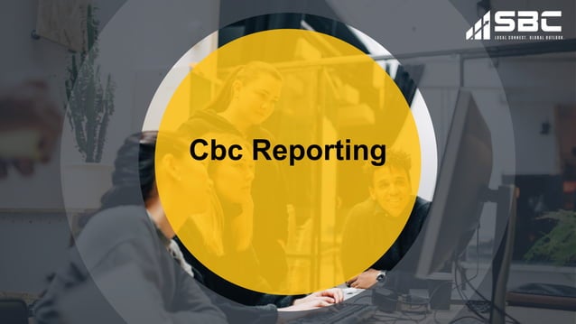 Transfer Pricing - Overview of Master File and CbCR Reporting in India.pdf