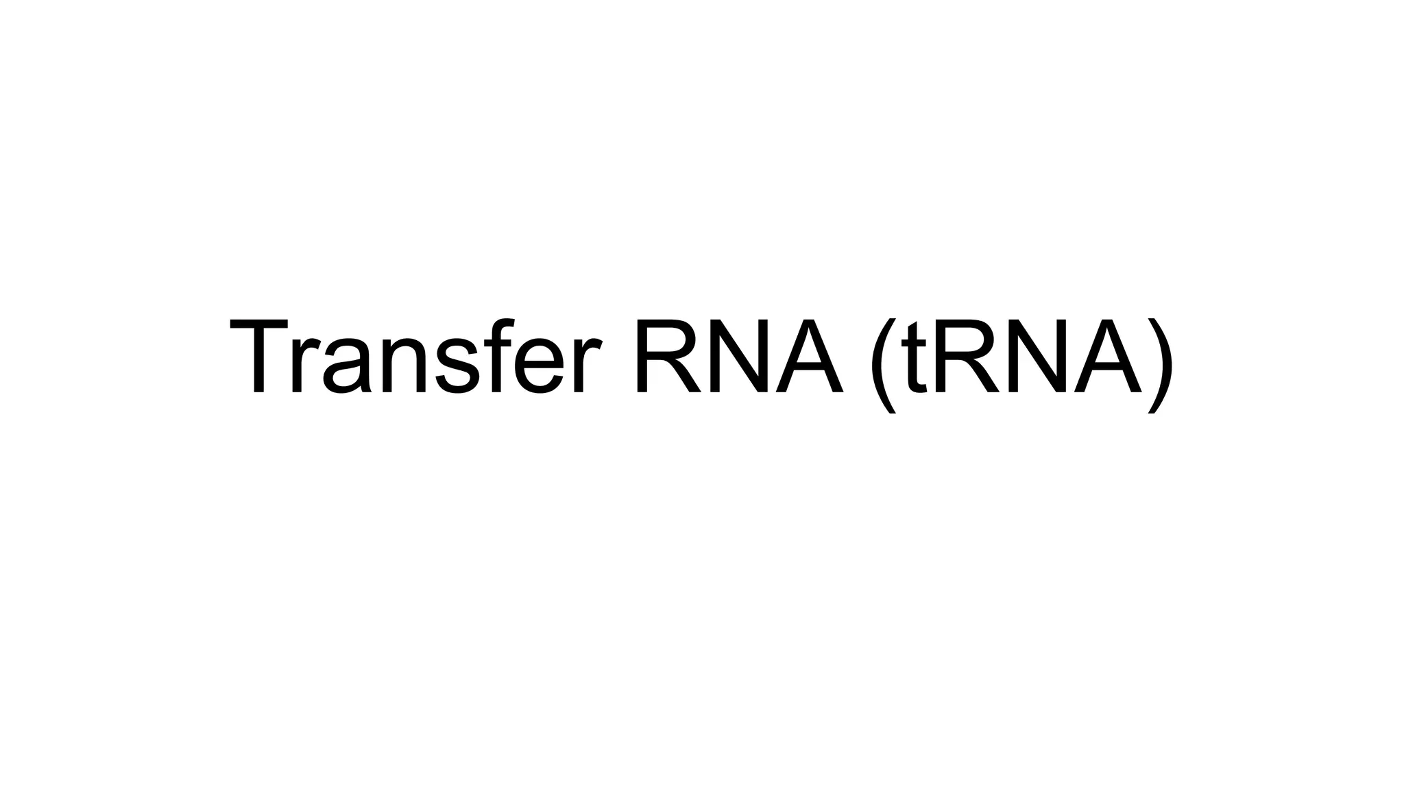 Transfer RNA.pdf