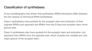 Transfer RNA.pdf