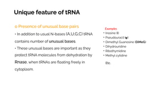 Transfer RNA - Structure and function explained | PPT