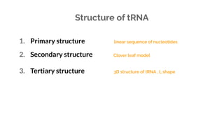 Transfer RNA - Structure and function explained | PPT
