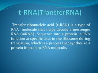 Transfer rna | PPTX
