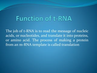 Transfer rna | PPTX
