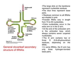 Trna Structure