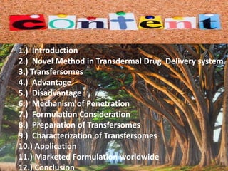 Transfersomes | PPTX