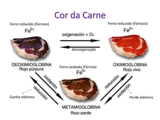 Transformação do Músculo em carne, inspeção de carne | PPTX