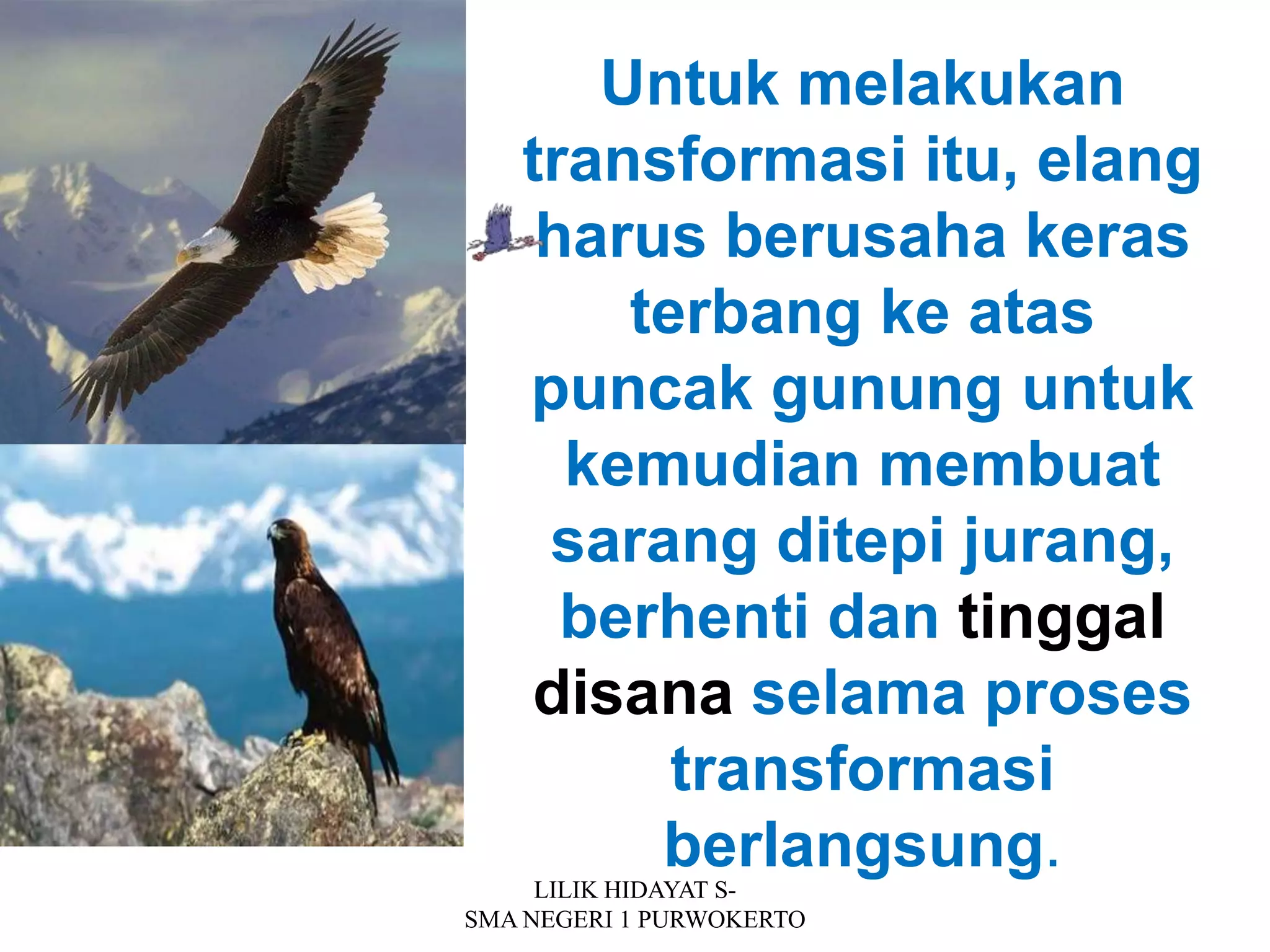Transformasi diri elang (lilik hidayat s) | PPSX