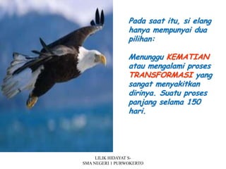 Transformasi diri elang (lilik hidayat s) | PPSX