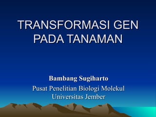 Transformasi Genetik pada Tanaman (Bioteknologi Pertanian).ppt