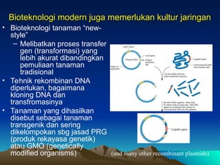 Transformasi Genetik pada Tanaman (Bioteknologi Pertanian).ppt