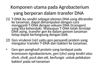 Transformasi genetik dalam bioteknologis | PPT