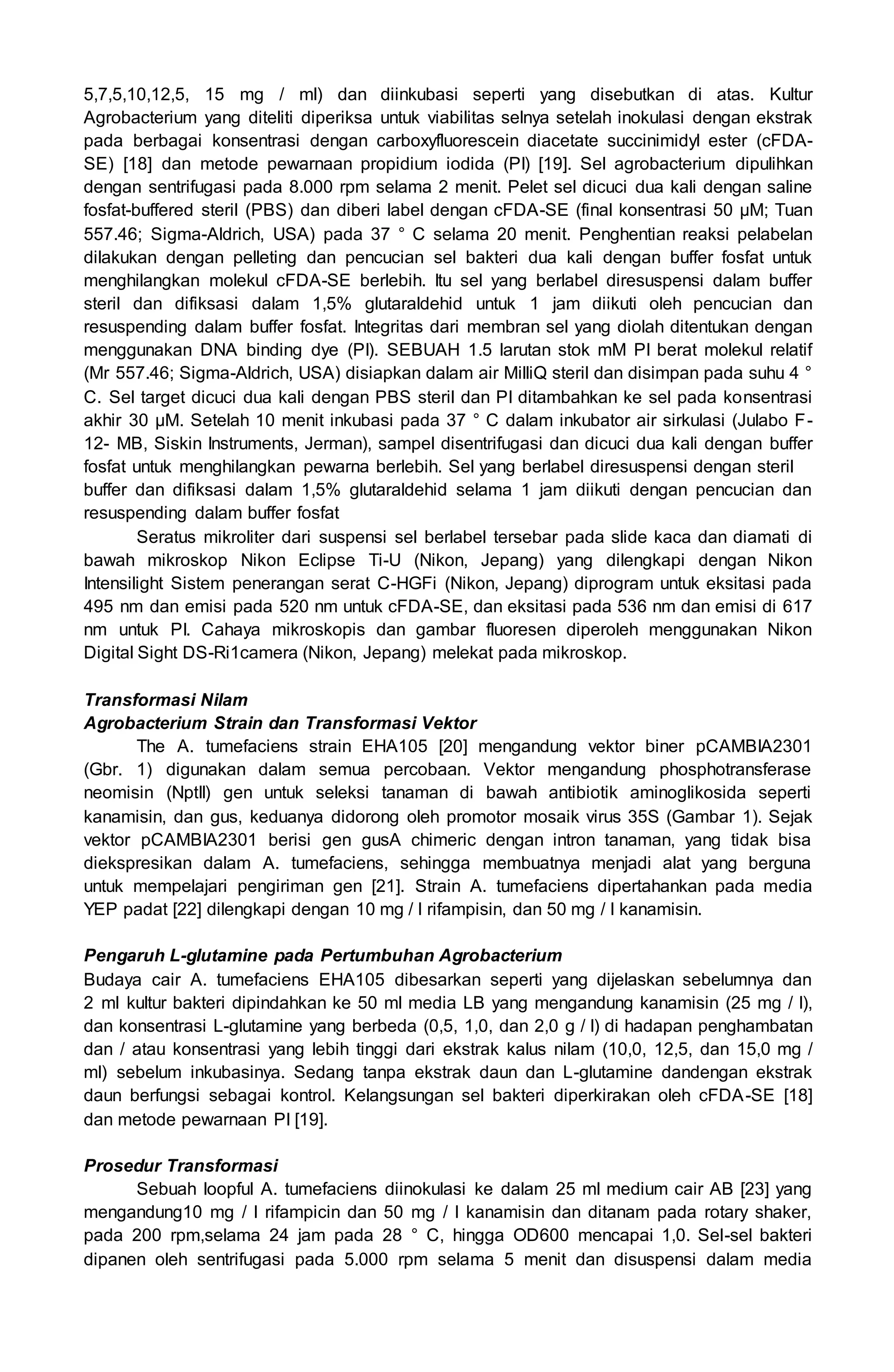 Transformasi genetik agrobacterium | DOCX