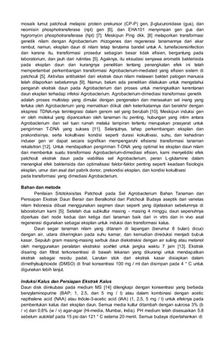 Transformasi genetik agrobacterium | DOCX