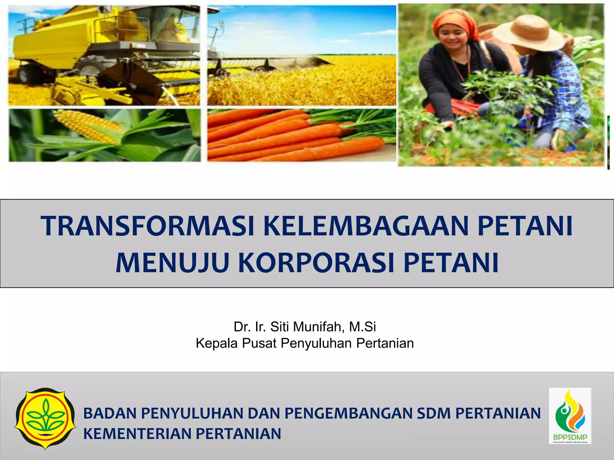 TRANSFORMASI KELEMBAGAAN PETANI MENUJU KORPORASI PETANI | PDF